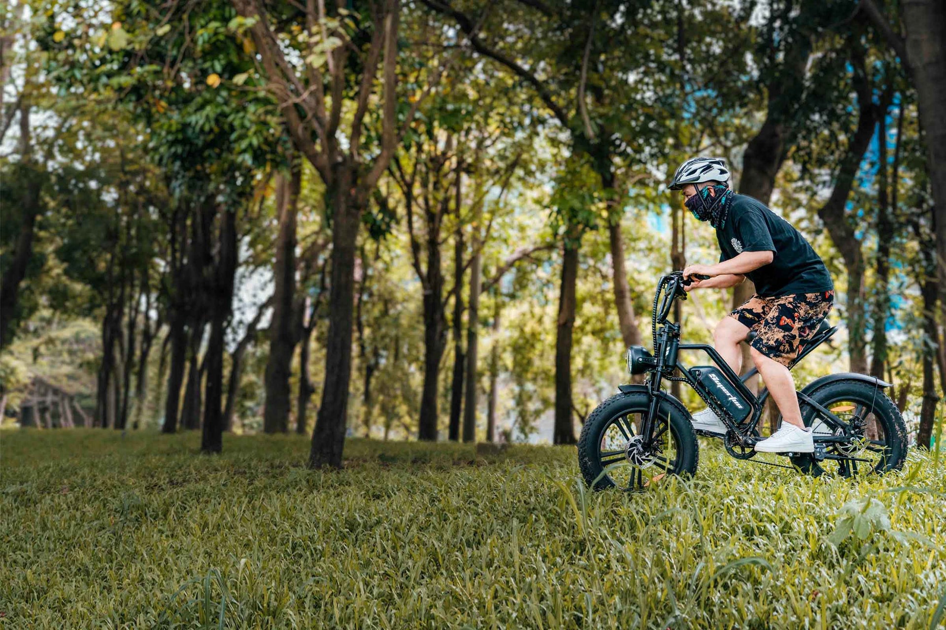 Superfun R2 750W Electric Bike for Adults with 20 x 4.0inch Fat Tire F